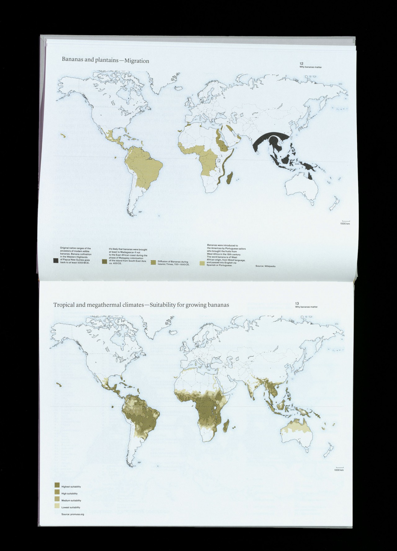 Barbara Hoffmann — The Banana Atlas